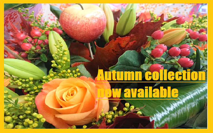 Buttercups & Daisies Florist Birmingham | Same Day Flowers before 3pm.